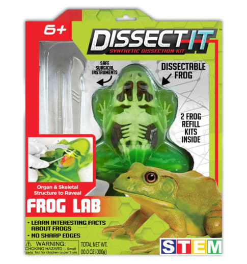 DISSECT IT - GRENOUILLE AU LABO – Boutique Landry